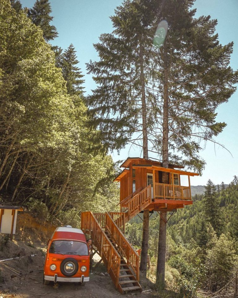 Treehouse in California. A traveler and adventurer... - Treehouselove