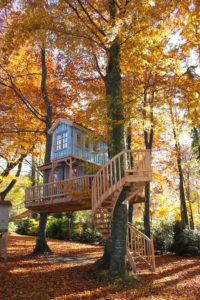 Treehouse by the Shore. A two-story treehouse... - Treehouselove