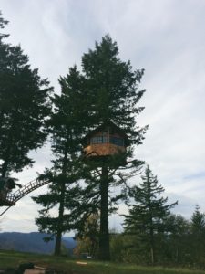 The most amazing Treehouses in the World - Treehouselove