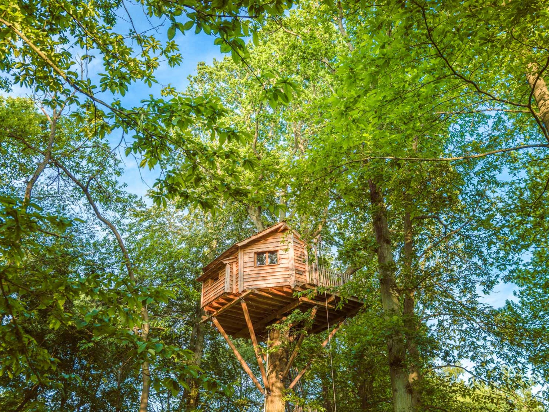 The most amazing Treehouses in the World - Treehouselove