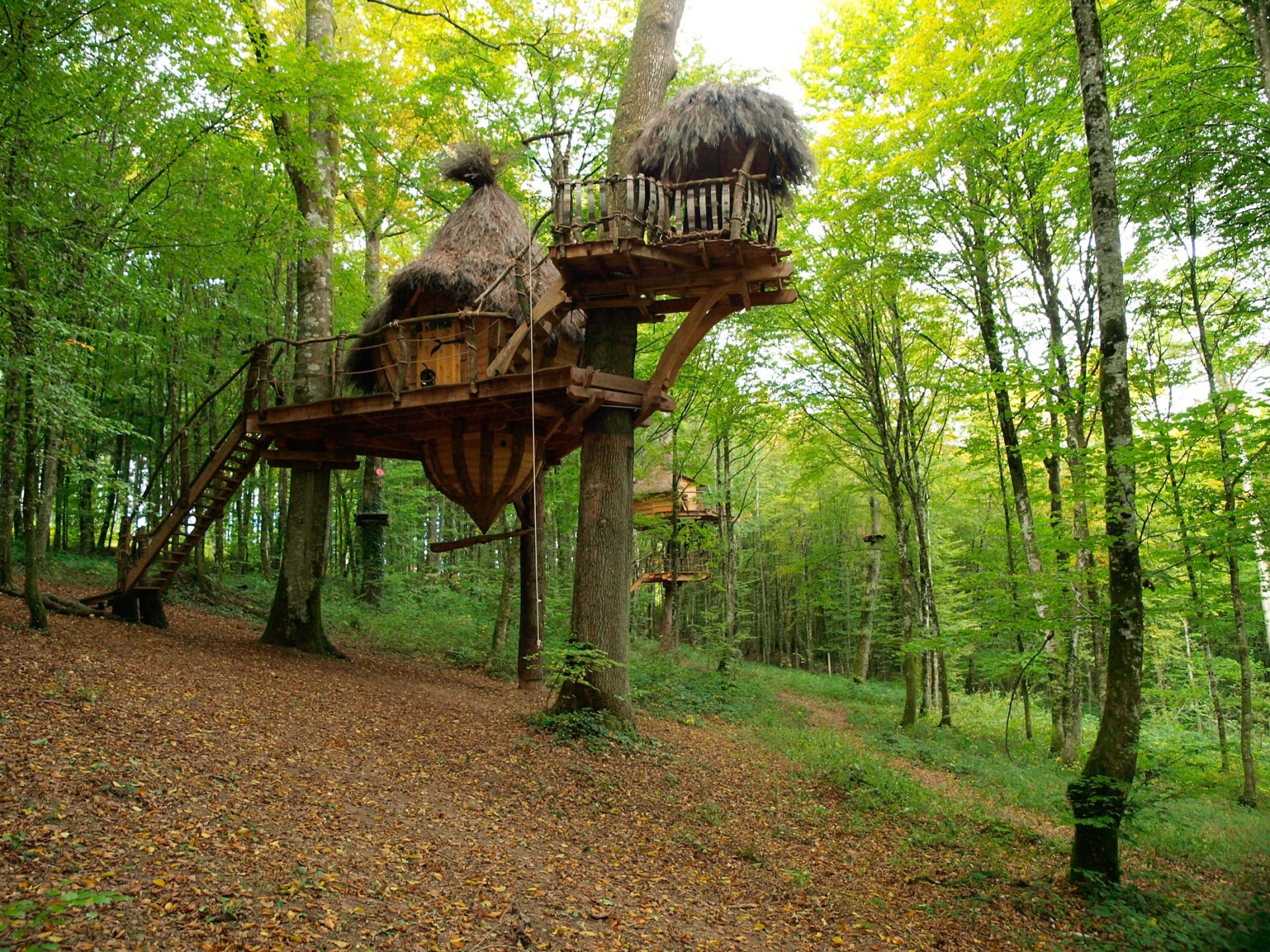 Treehouse Vacation Idea Drommen Treehouselove