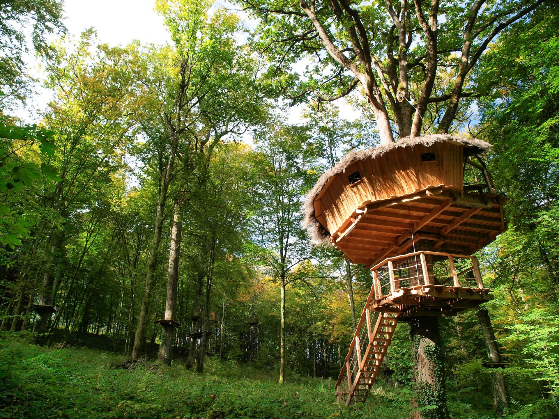Treehouse Vacation Idea : Grand Hêtre - Treehouselove
