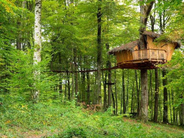 Liberty Treehouse (Vrijstaat Boomhut). A beautiful... - Treehouselove
