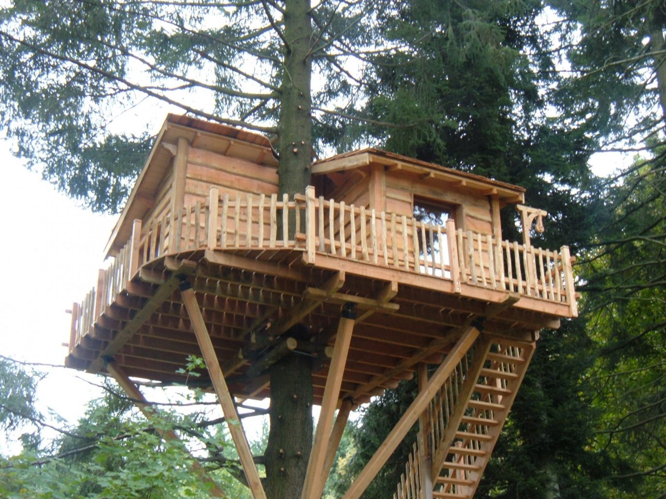Treehouse Vacation Idea : Cabane Shanghai - Treehouselove