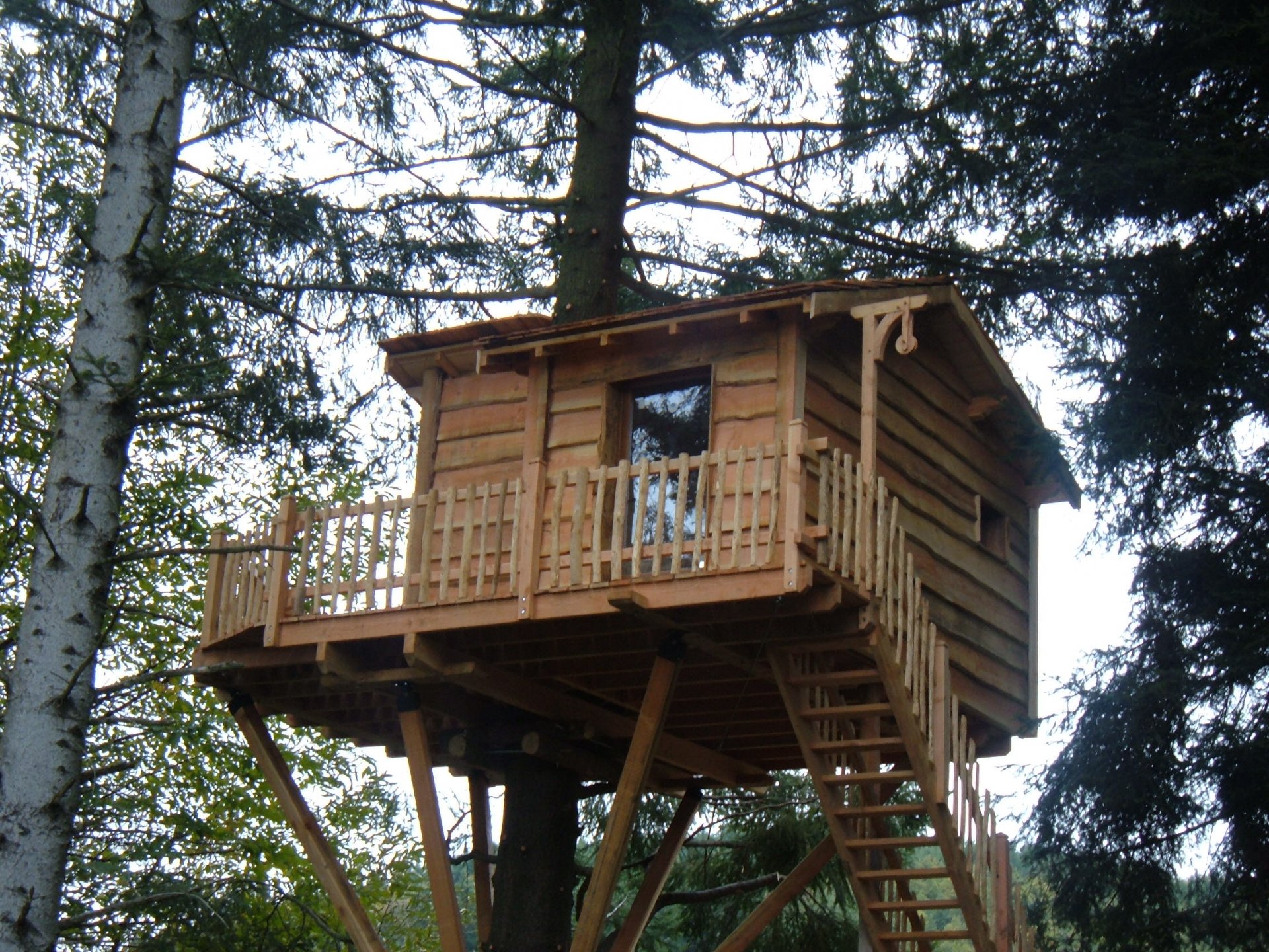 Treehouse Vacation Idea : Cabane Marmotte - Treehouselove