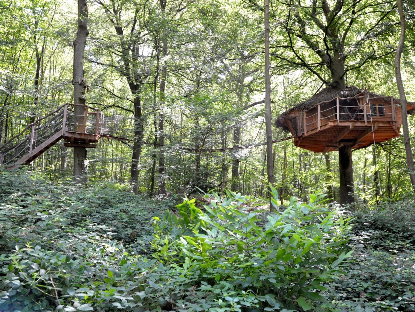 Treehouse Vacation Idea : Haona Nui - Treehouselove