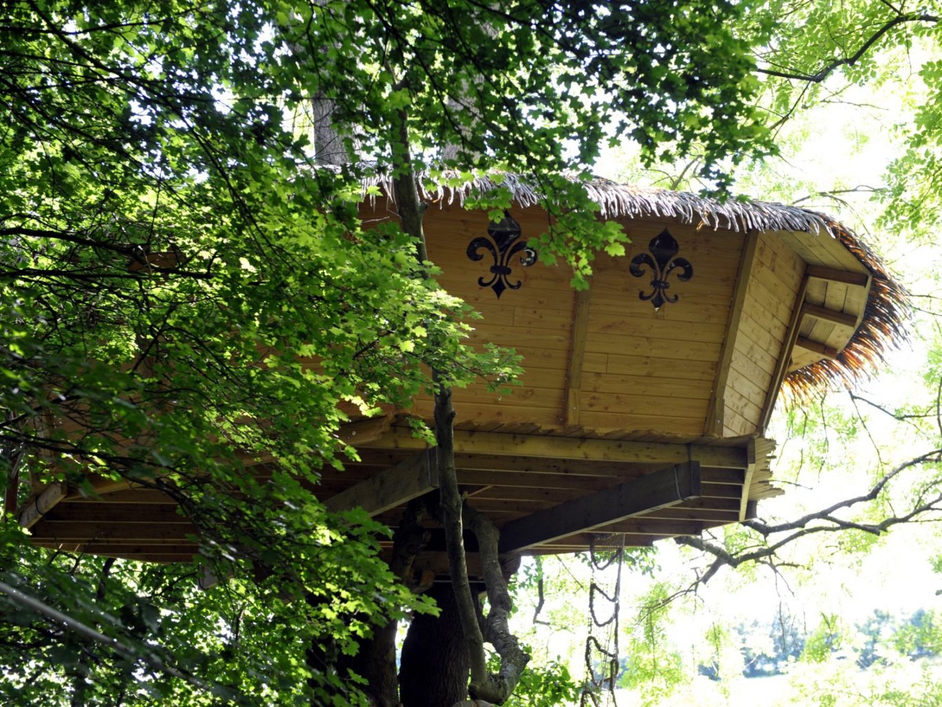Treehouse Vacation Idea : Soleil Royal - Treehouselove