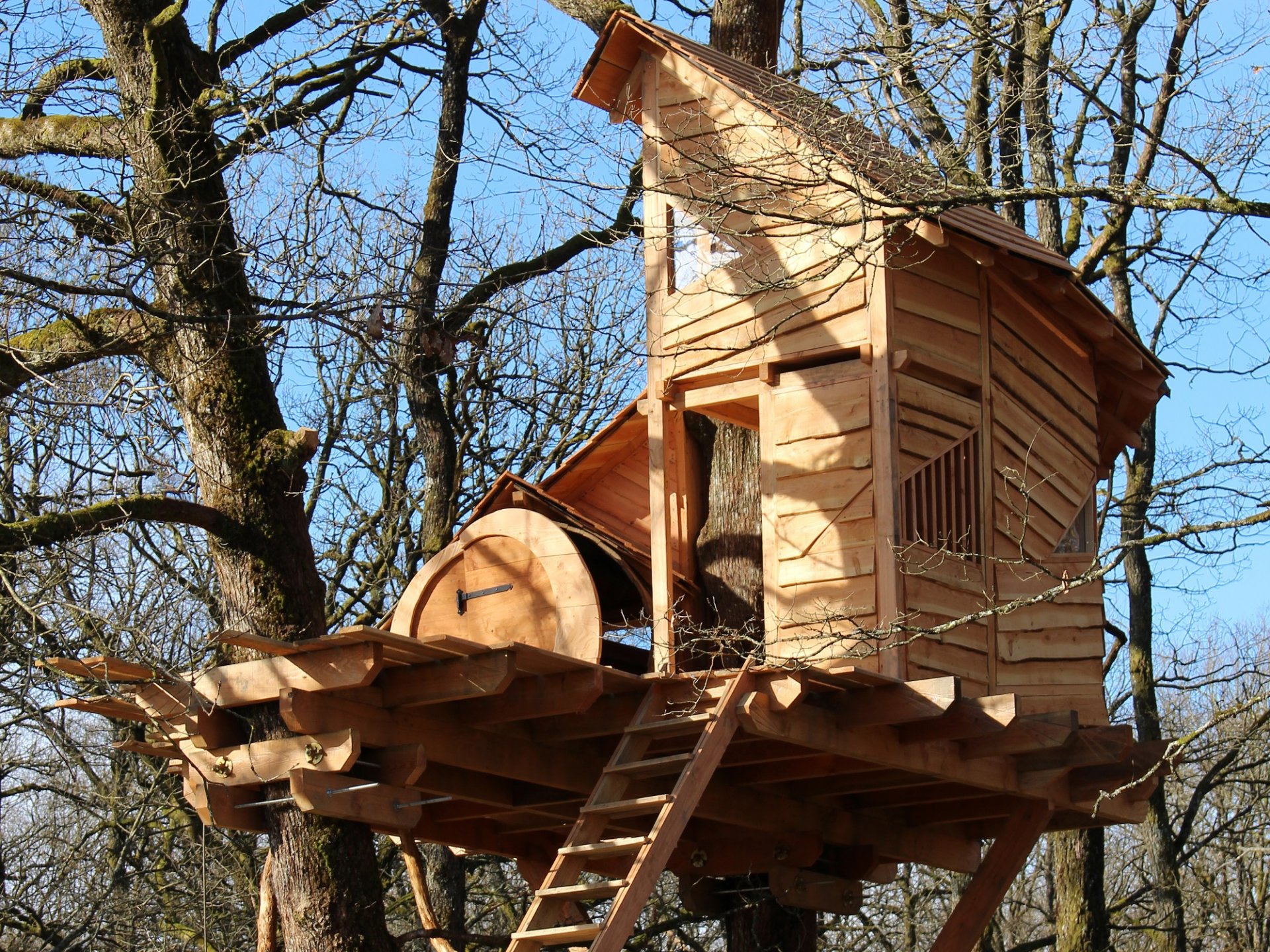 Treehouse Vacation Idea : Haona Nui - Treehouselove