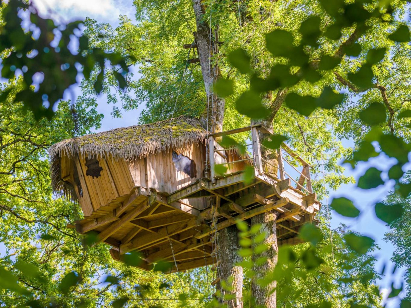 The most amazing Treehouses in the World - Treehouselove