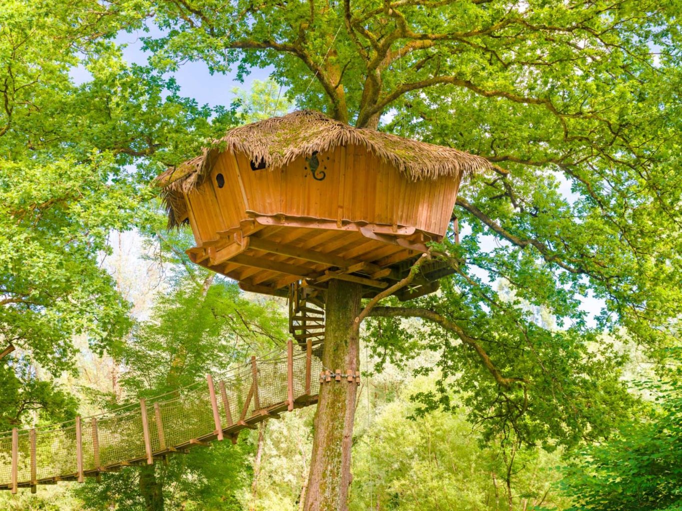 Treehouse Vacation Idea : Cabane Duo Extrême - Treehouselove