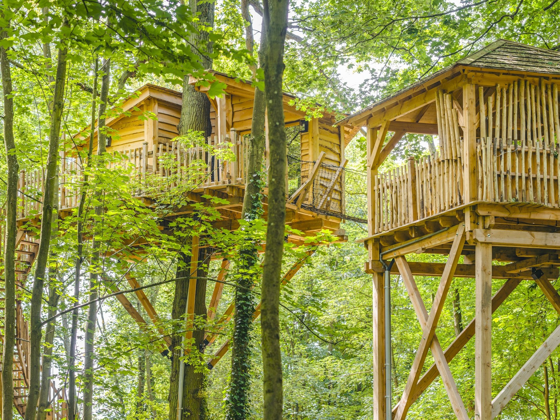 Treehouse Vacation Idea : Spa Cocon - Treehouselove