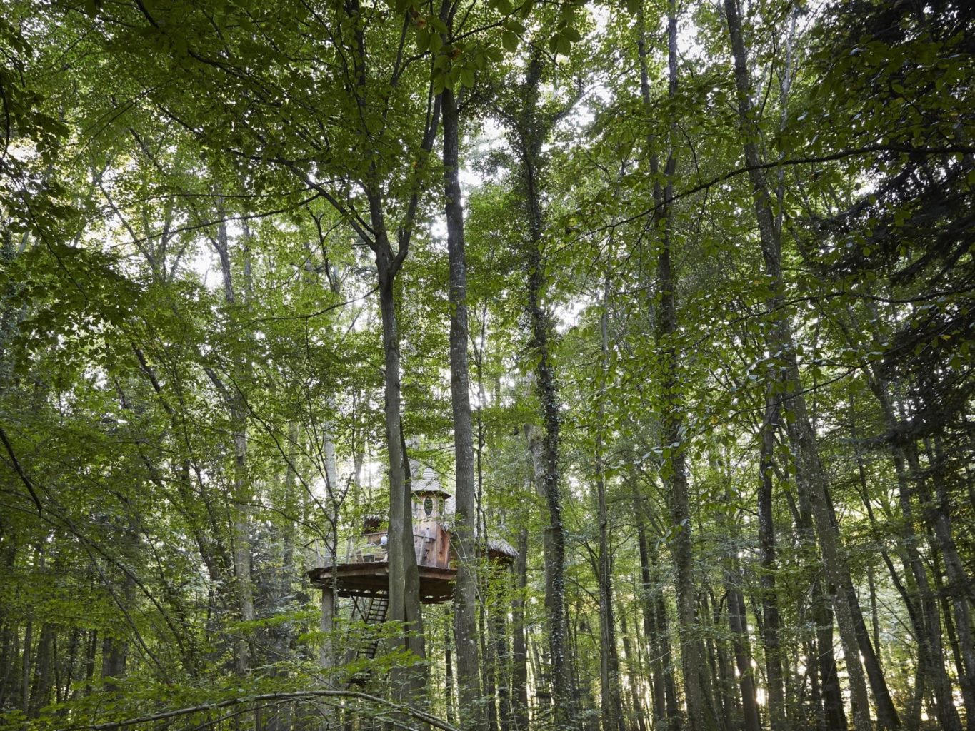 Treehouse Vacation Idea : La Cabane de Manon - Treehouselove