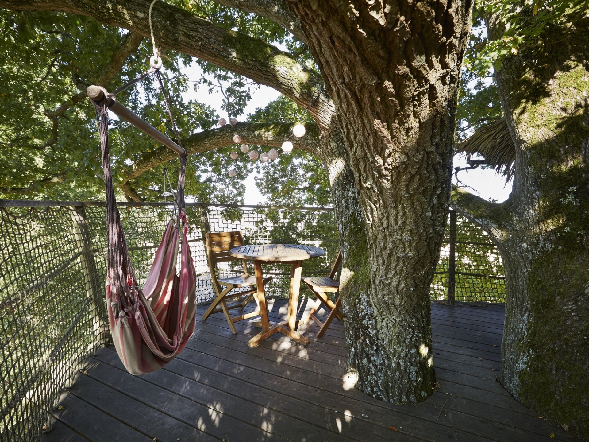 Treehouse Vacation Idea : Sunset - Treehouselove