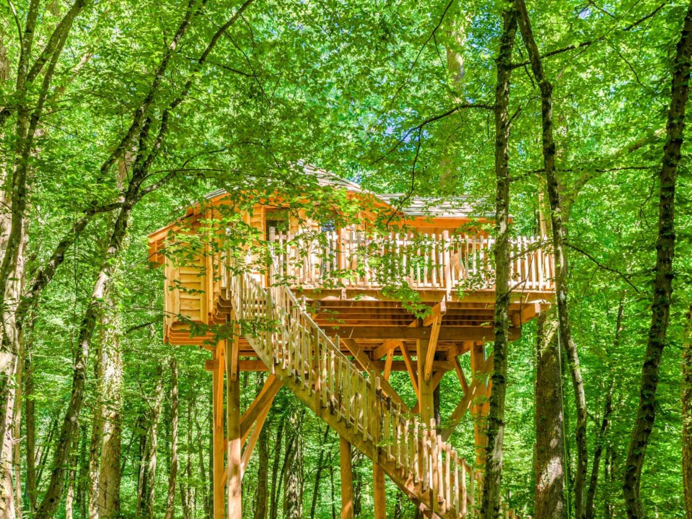 The most amazing Treehouses in the World - Treehouselove