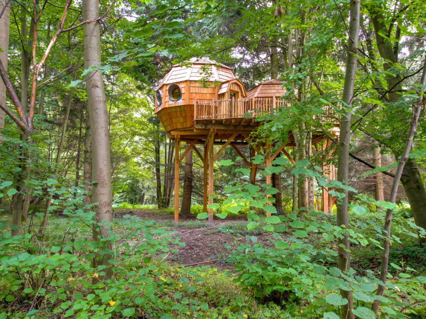 Treehouse Vacation Idea : Cabane duo Vertige - Treehouselove