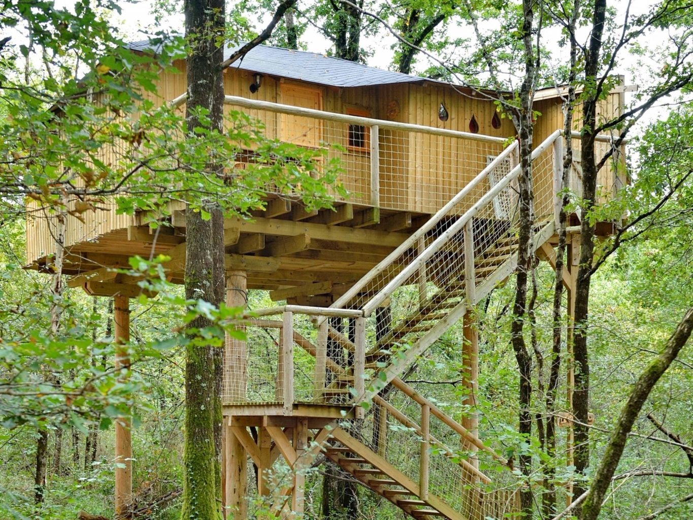 Treehouse Vacation Idea : Maison dans les Branches 6 people - Treehouselove