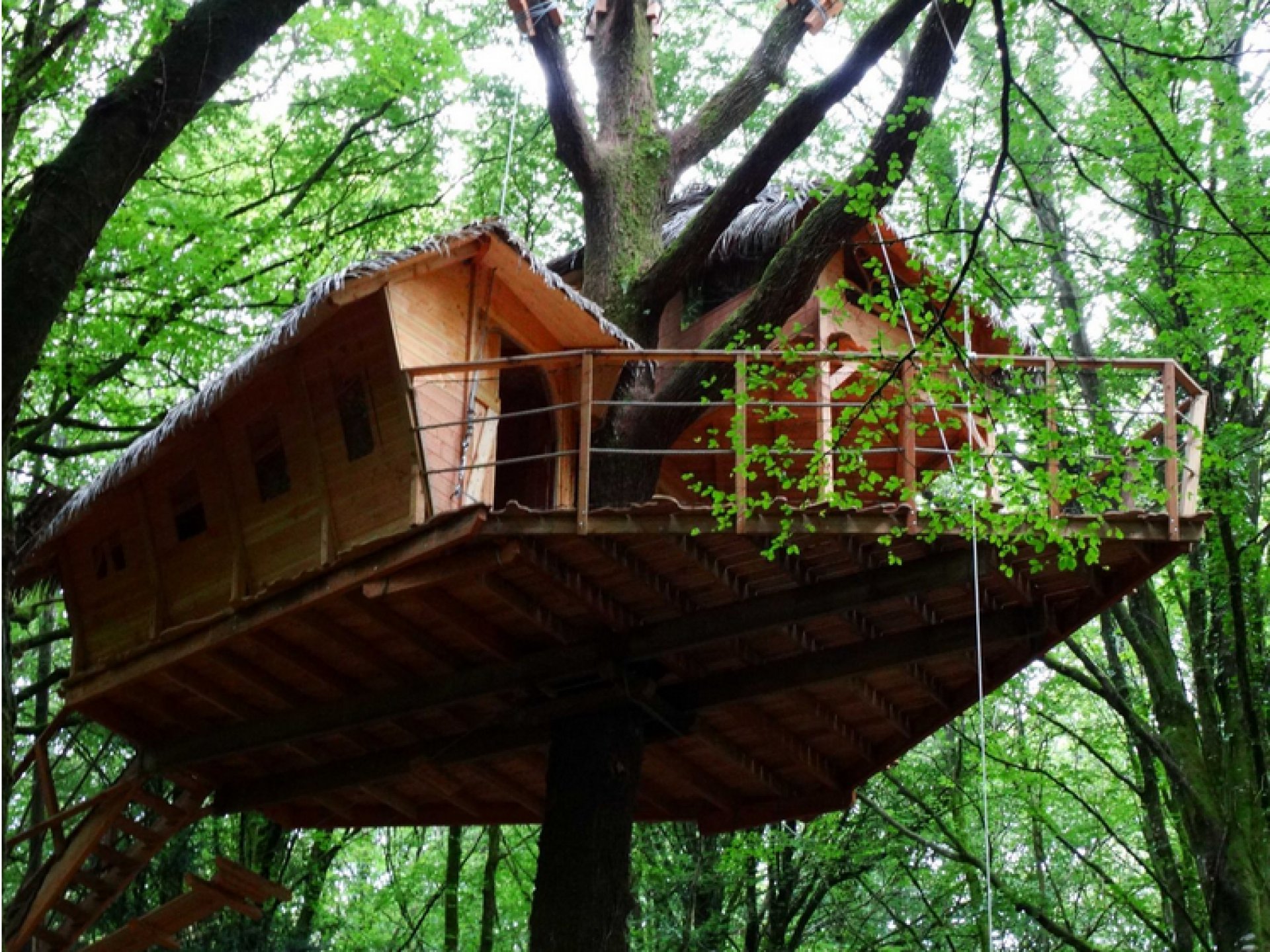 The most amazing Treehouses in the World - Treehouselove