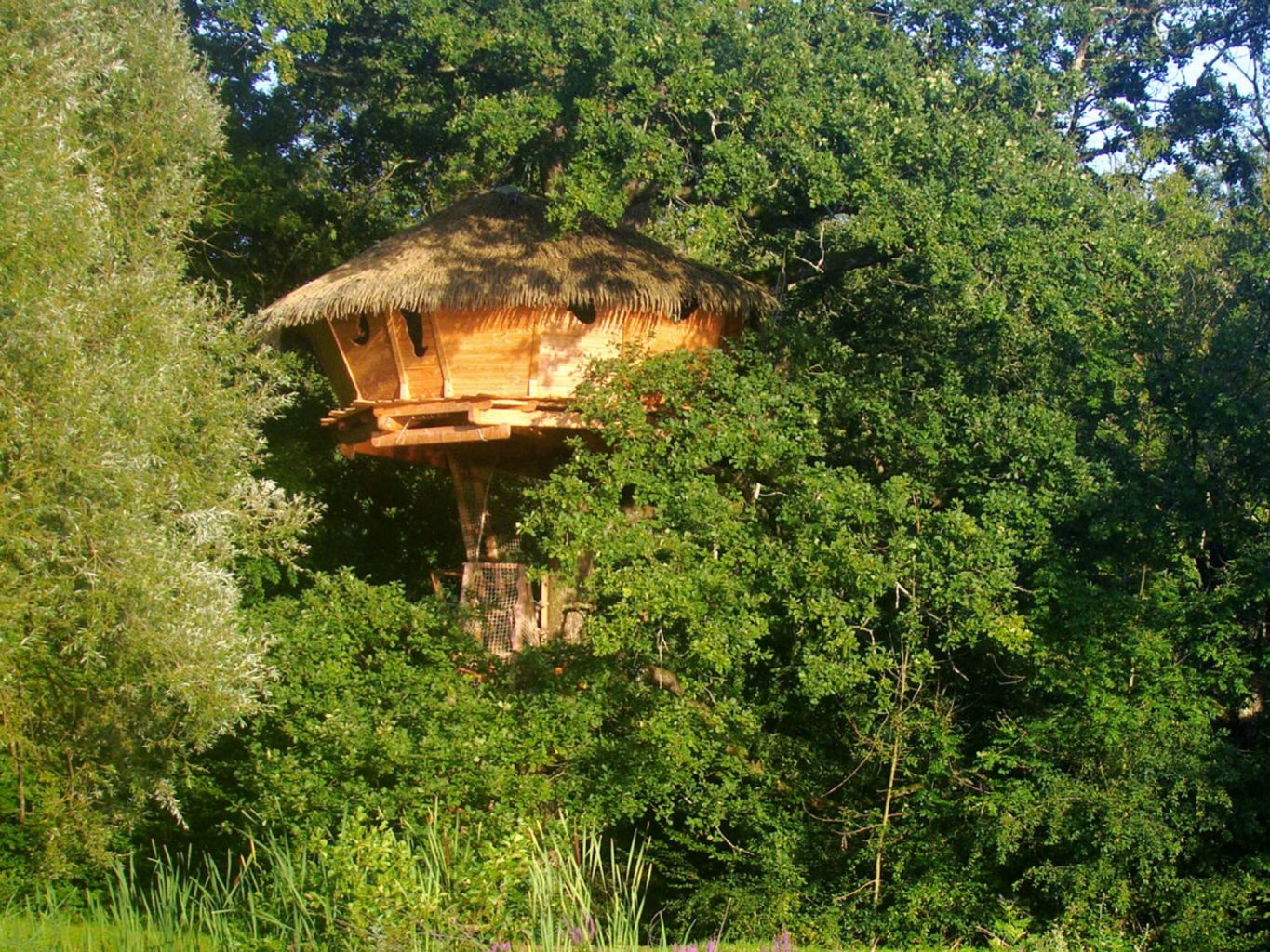 Moose Meadow Treehouse. A two-story treehouse... - Treehouselove