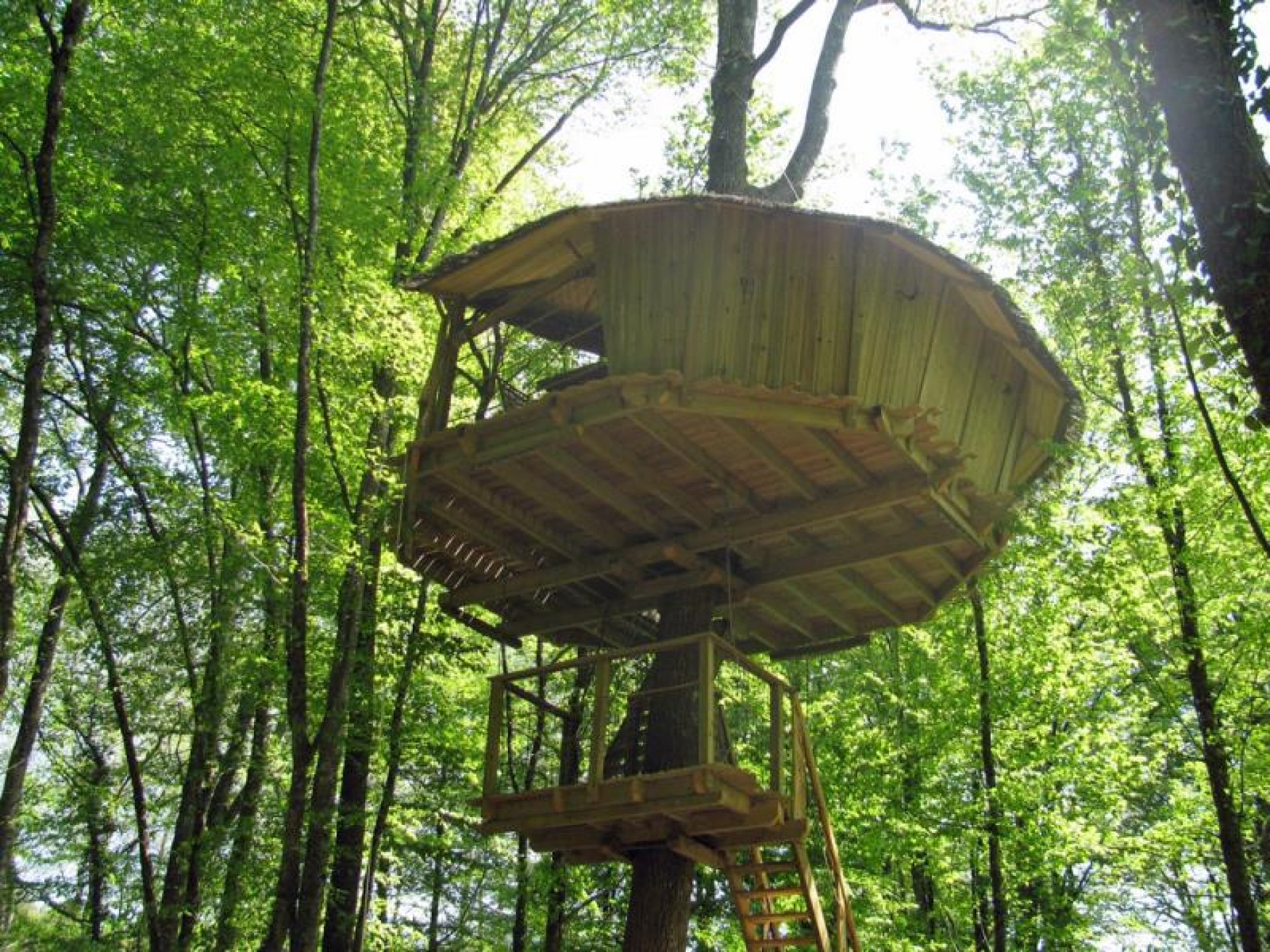 The most amazing Treehouses in the World - Treehouselove