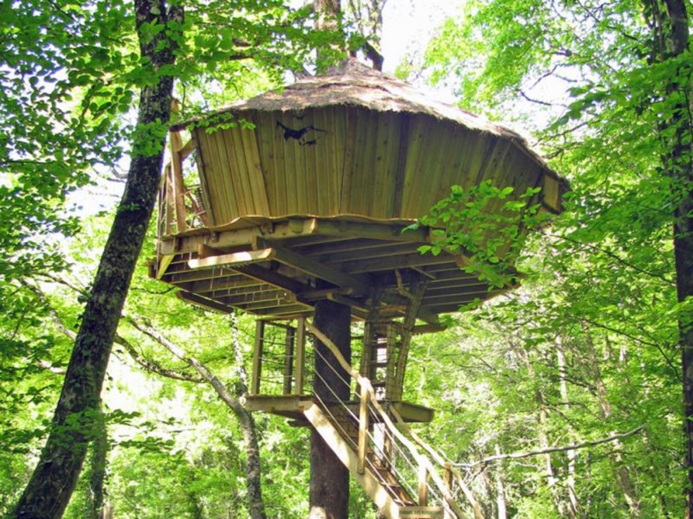 Treehouse Vacation Idea : Maison dans les Branches 4 people - Treehouselove