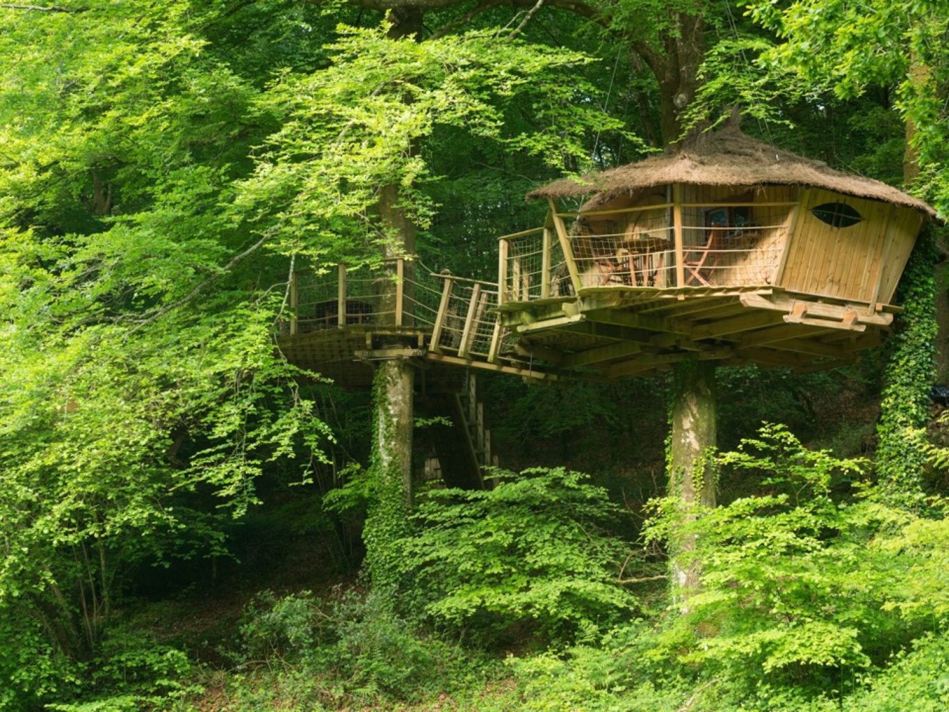 Treehouse Vacation Idea : Soleil Royal - Treehouselove