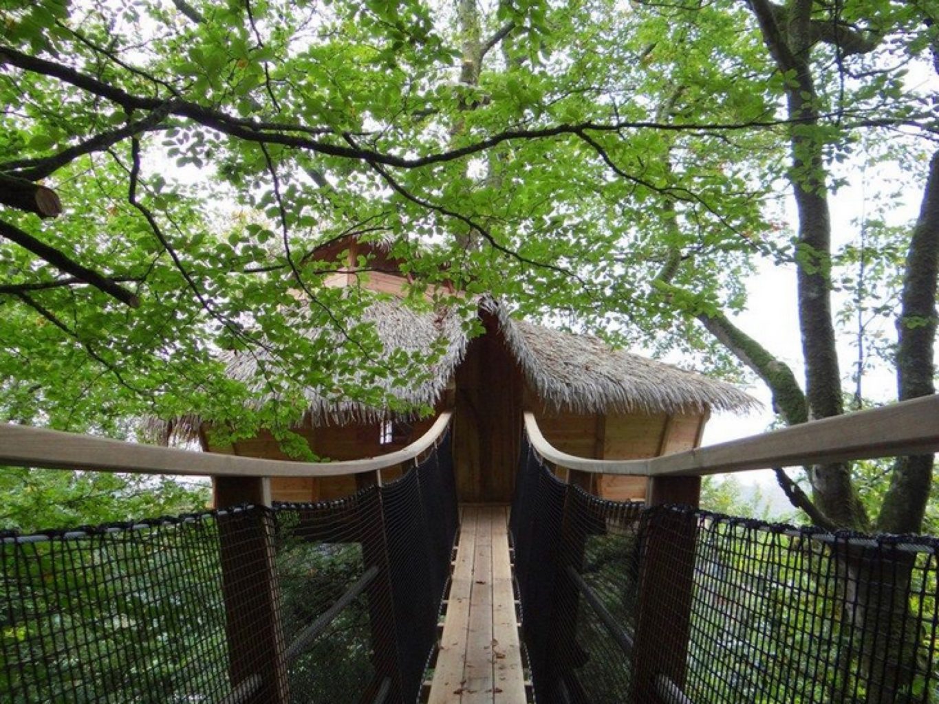 Treehouse Vacation Idea : Maison dans les Branches 6 people - Treehouselove